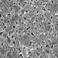 PVDF Separator Coatings | 고성능 폴리머